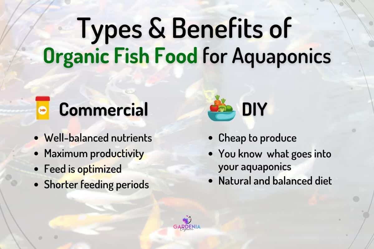 5 Best Organic Fish Food for Aquaponics - Gardenia Organic