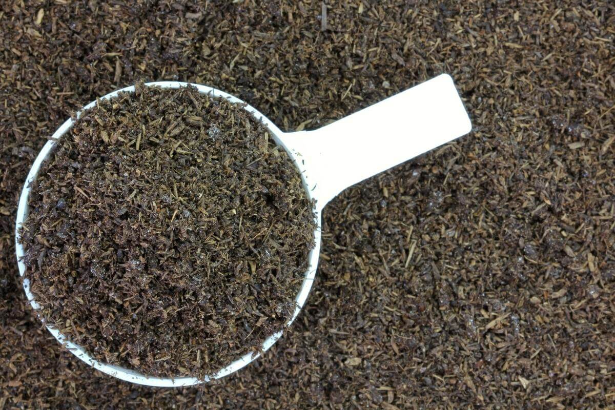 Worm Castings vs Compost: Which is Better? - Gardenia Organic