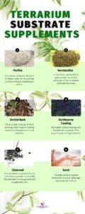 Terrarium Substrate Layers (Complete Guide) - Gardenia Organic