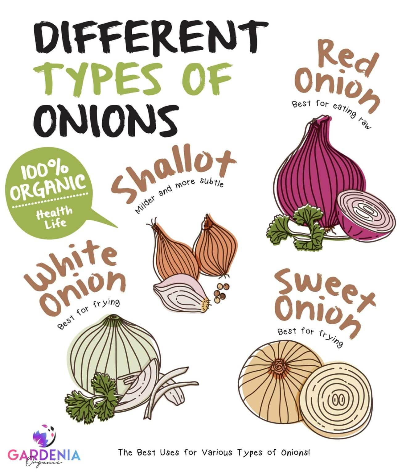 How Long Do Onions Take To Grow: A Journey From Seed to Cutting Board ...