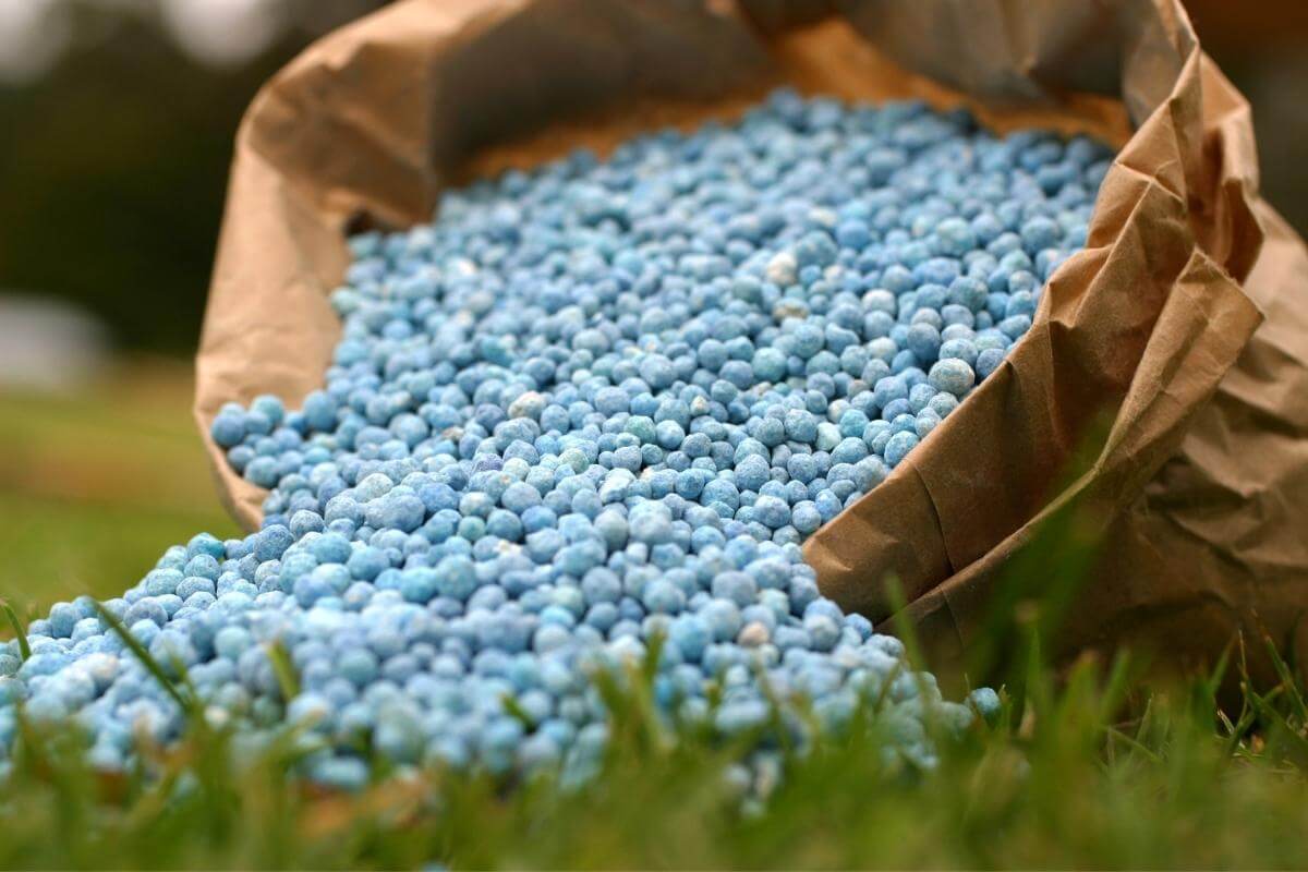 How To Store Fertilizer (Garden Fertilizer Storage Methods) - Gardenia ...