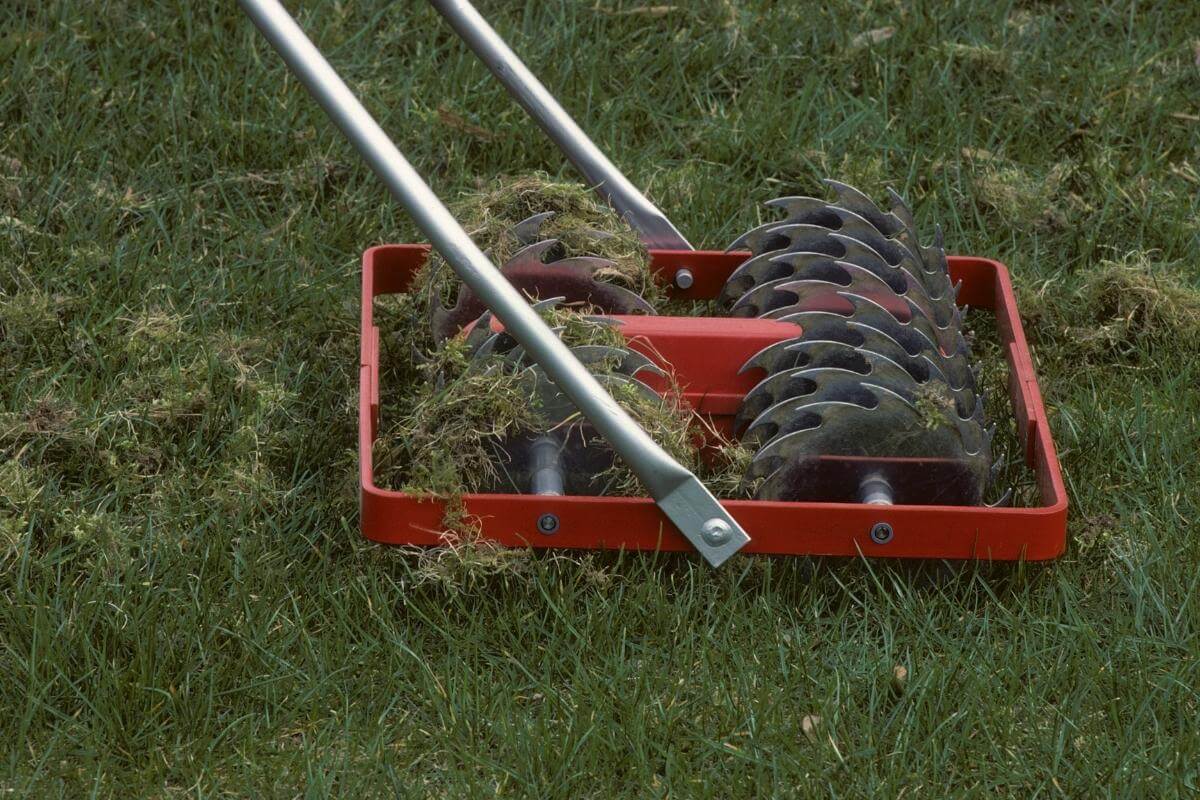 How to Improve Grass on Clay Soil in 4 Easy Ways - Gardenia Organic
