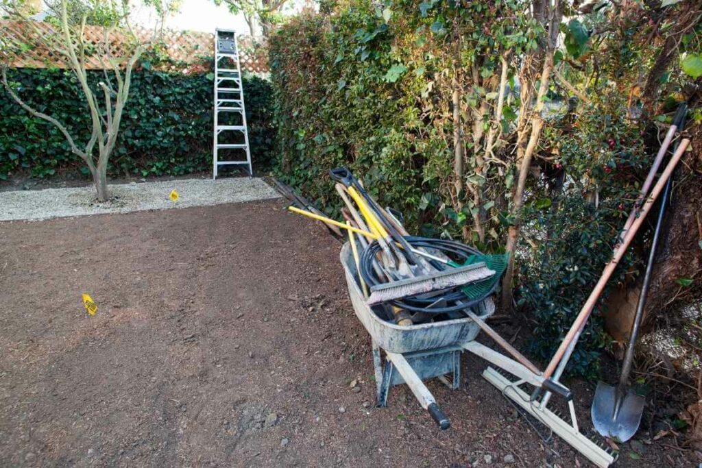 8 Cheap Ways to Cover Dirt in Your Backyard - Gardenia Organic