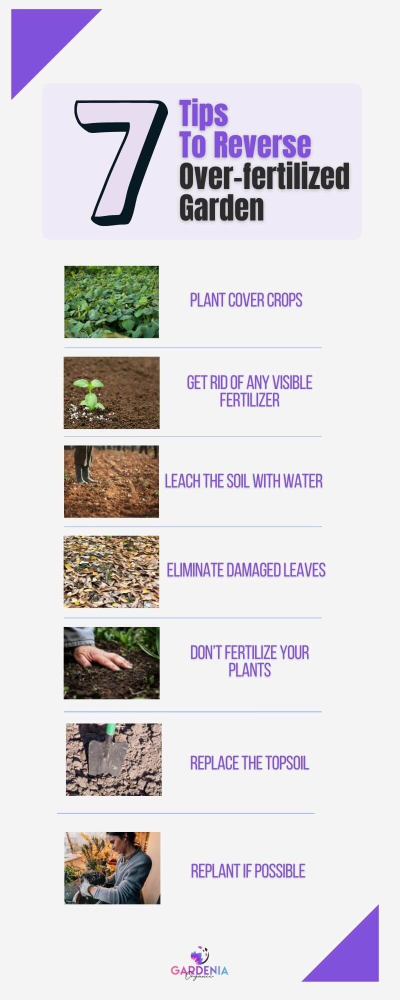 How to Easily Reverse Garden Over Fertilization - Gardenia Organic