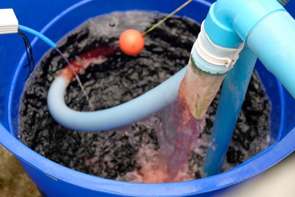 Aquaponics Biofilter Explained (How It Works & Why You Need One ...