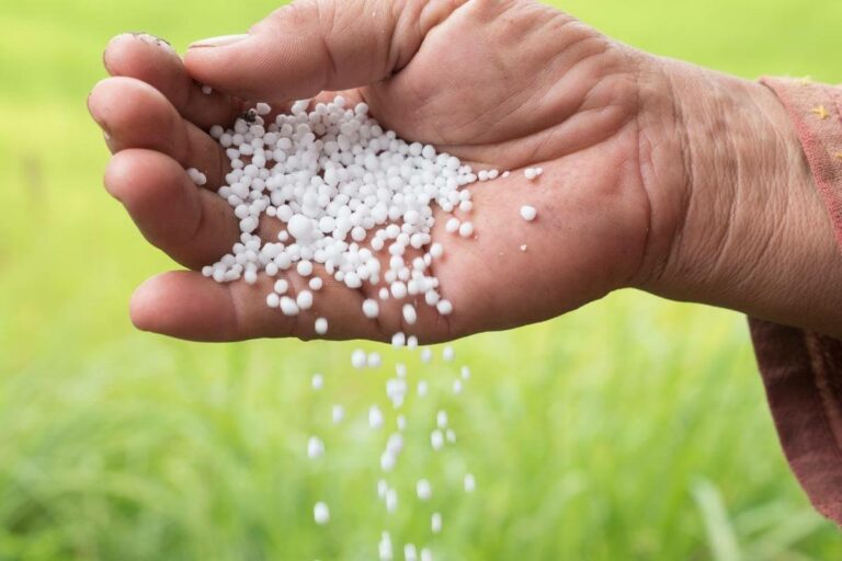 How To Store Fertilizer (Garden Fertilizer Storage Methods) - Gardenia ...