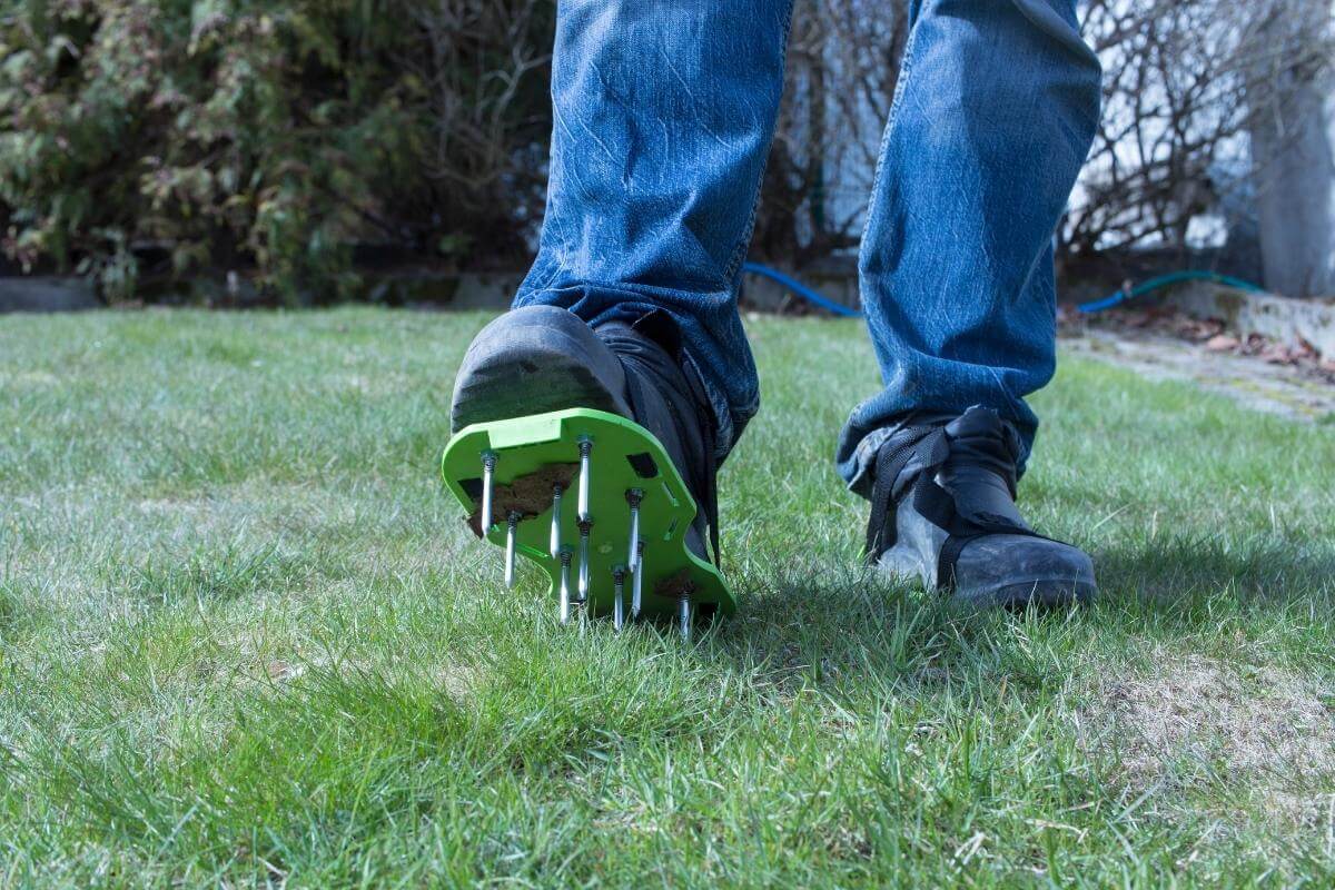 How to Improve Soil Aeration - Gardenia Organic