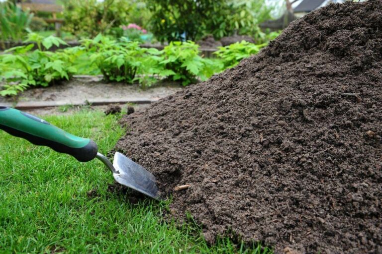 How to Test Compost Quality (6 Easy Ways) - Gardenia Organic