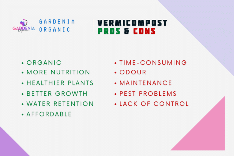 Vermicompost vs Fertilizer: Which is better? - Gardenia Organic
