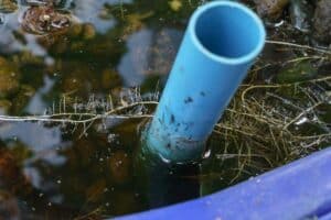 Aquaponics Biofilter Explained (How It Works & Why You Need One ...