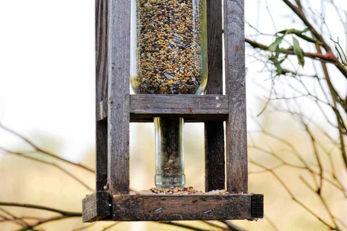 15 Bird Table Design Ideas - Gardenia Organic