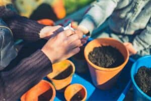 15 Kid-Safe Plants for Play Spaces (Indoors & Outdoors) - Gardenia Organic