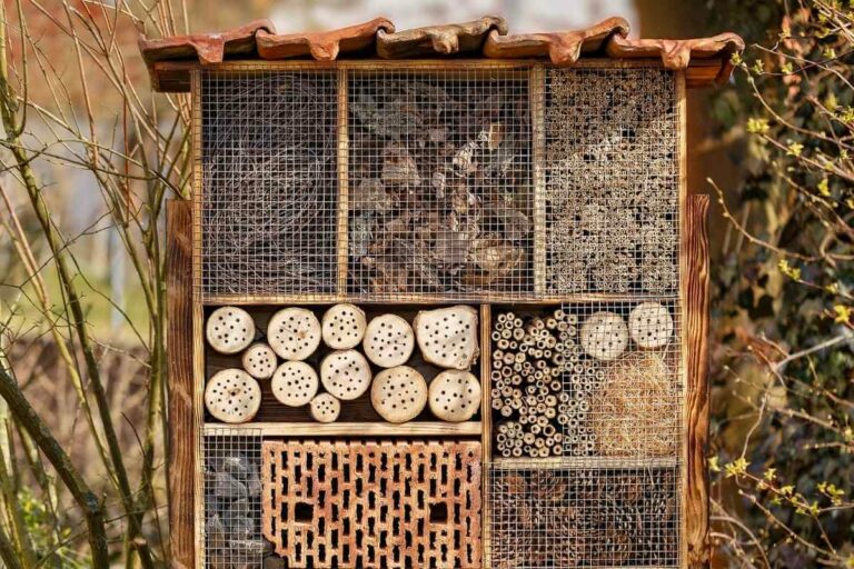What Is a Bee Hotel? A Beginner’s Guide to Garden Bee Hotels - Gardenia ...