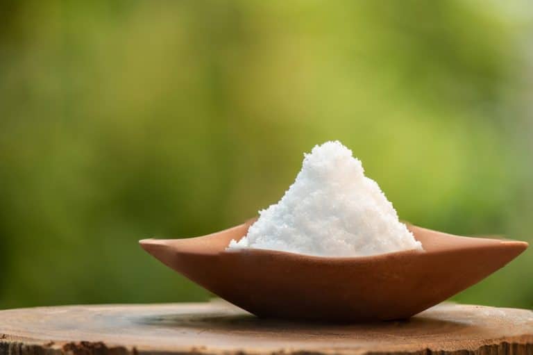 9 Plants That Love Epsom Salts - Gardenia Organic