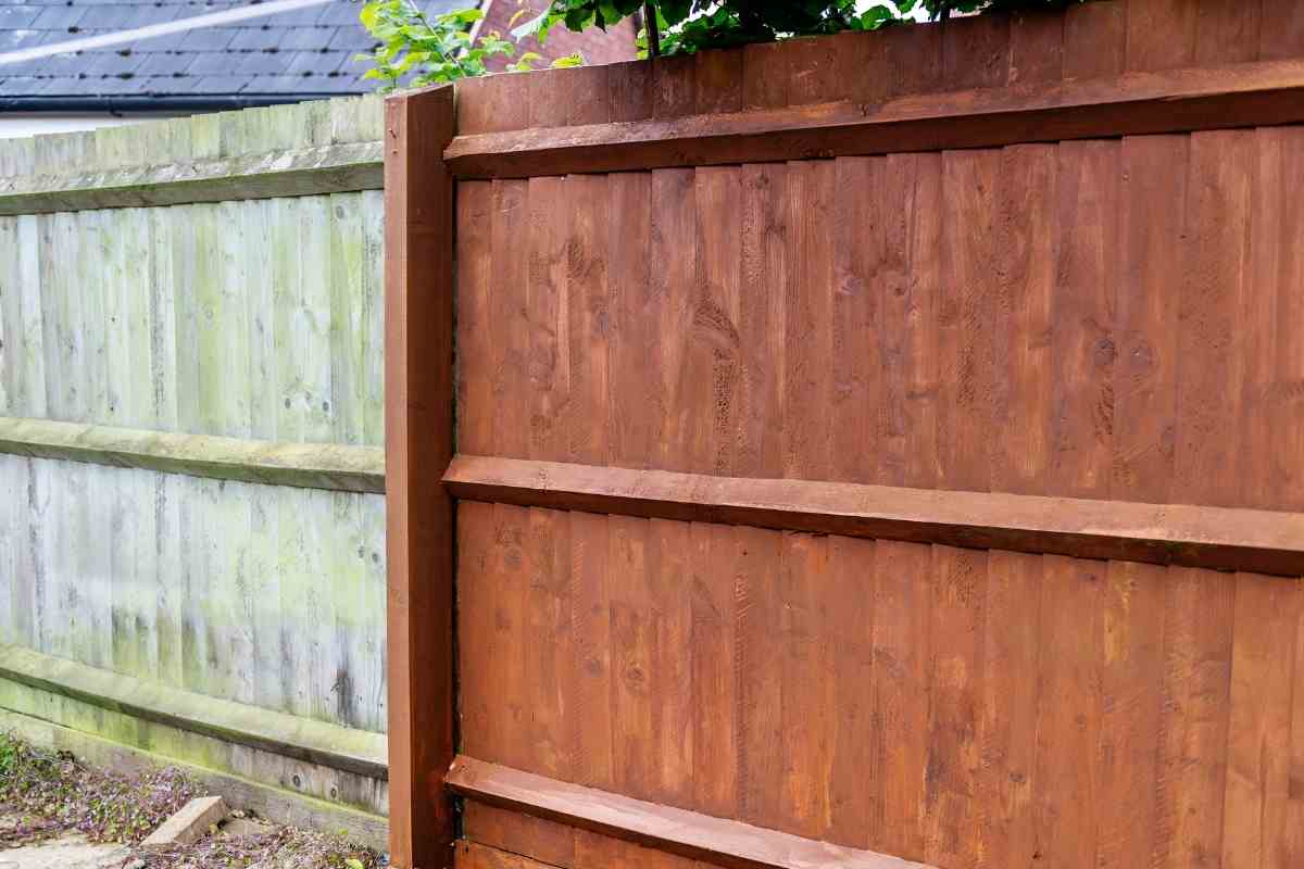 11 Perfect Colors for Your Garden Fence - Gardenia Organic