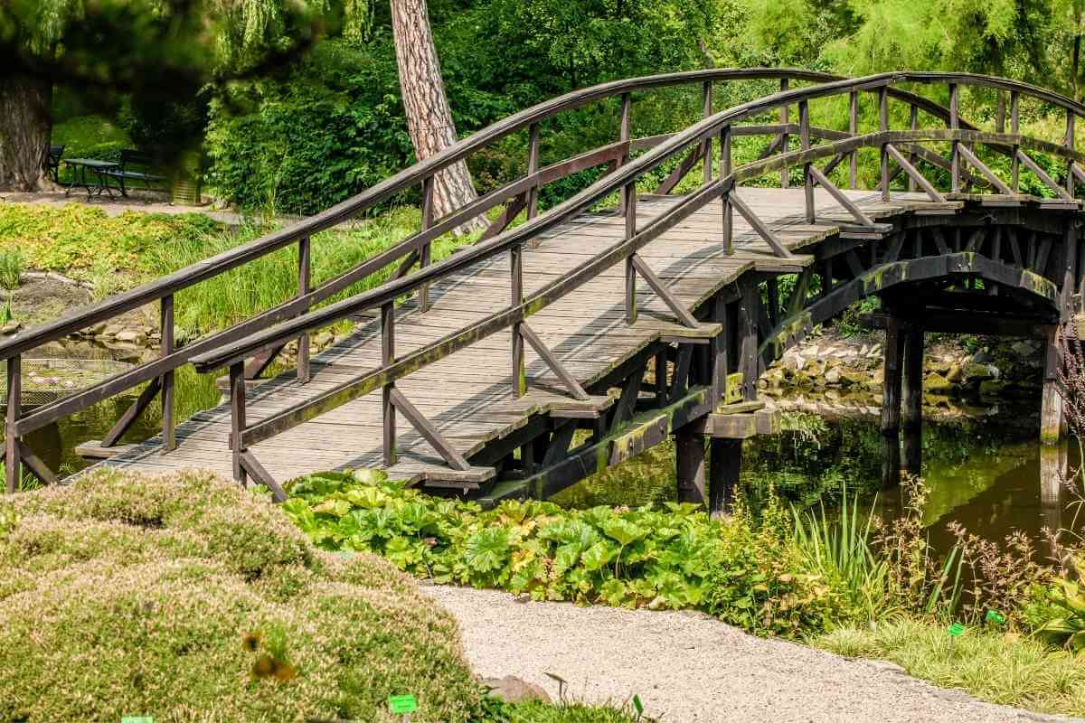 Why Do Japanese Gardens Have Bridges? - Gardenia Organic
