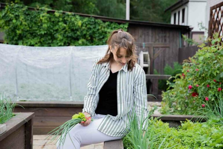 What To Put On The Bottom of Raised Garden Bed - Gardenia Organic