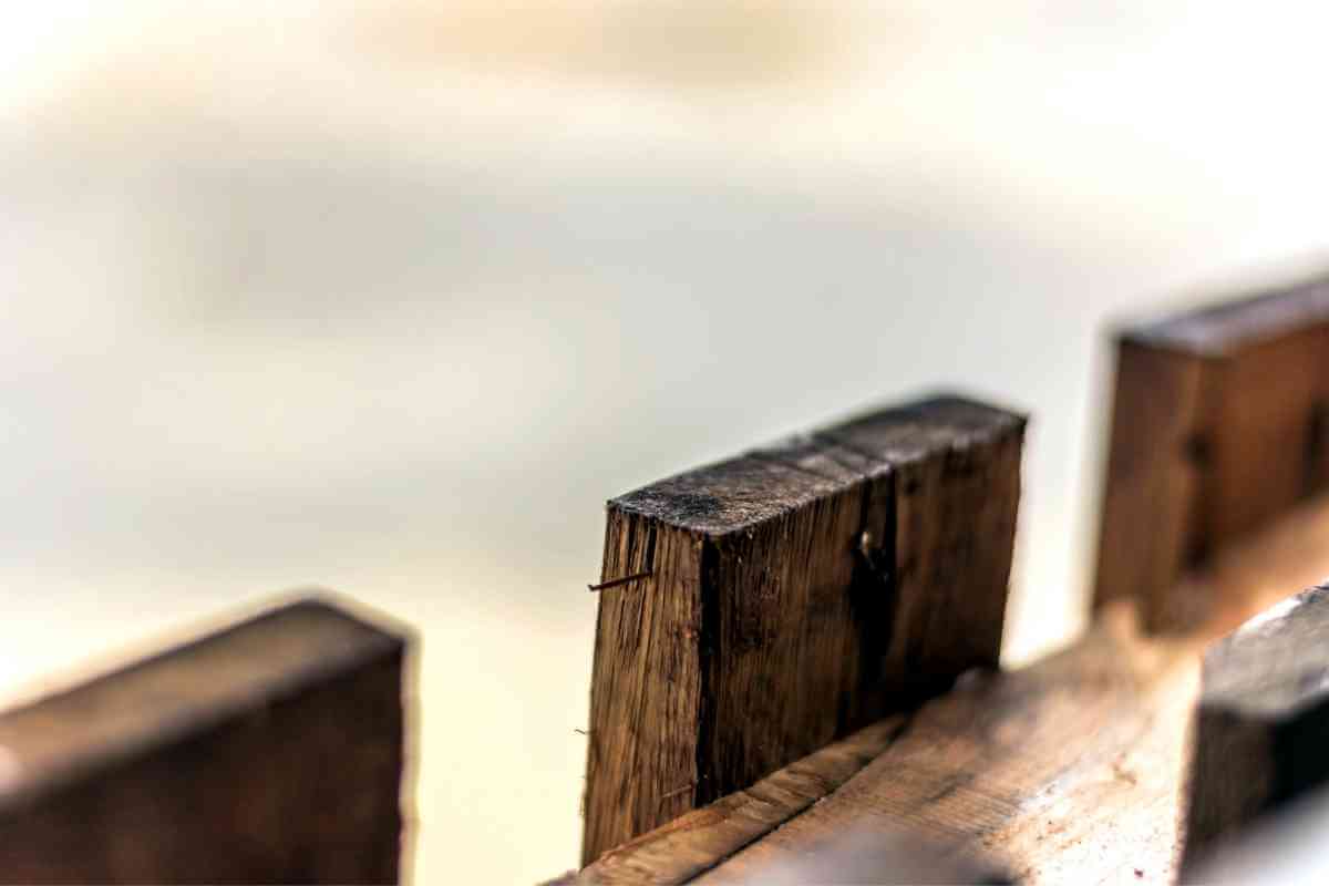 11 Perfect Colors for Your Garden Fence - Gardenia Organic