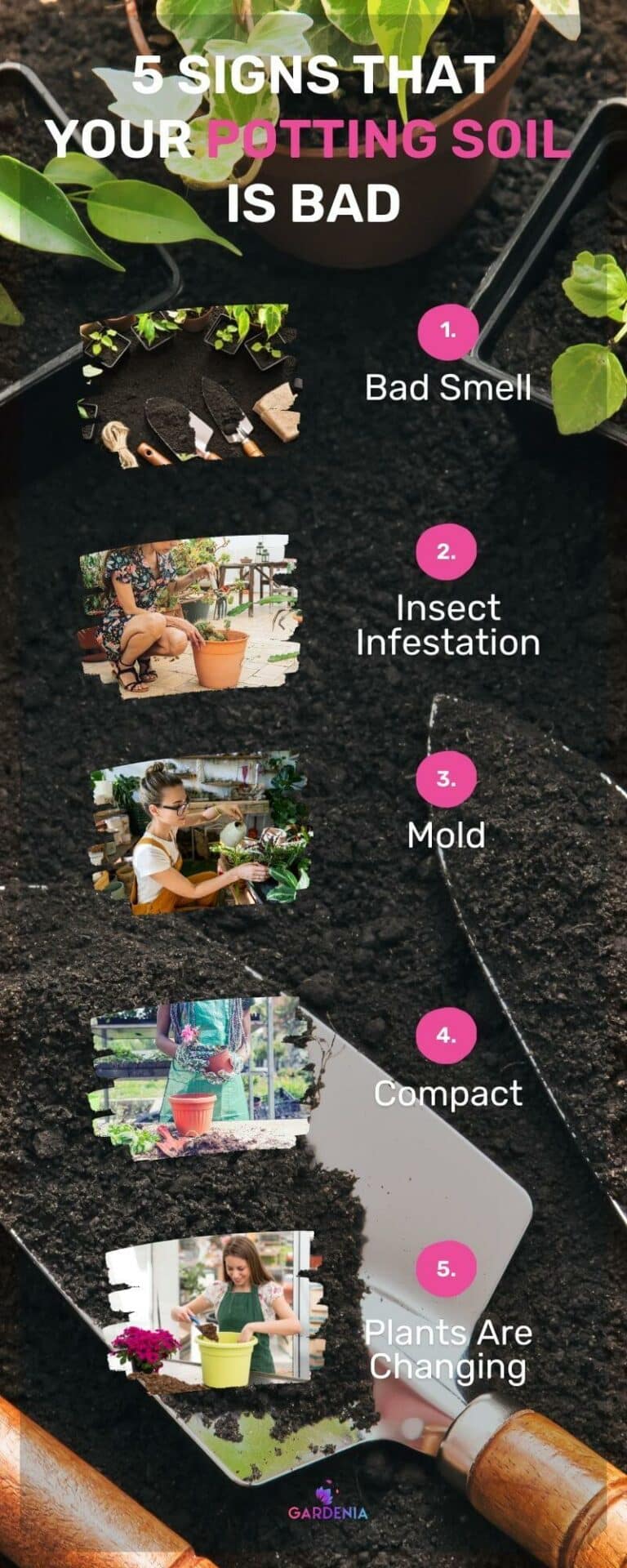 How to Tell If Potting Soil is Bad - Gardenia Organic