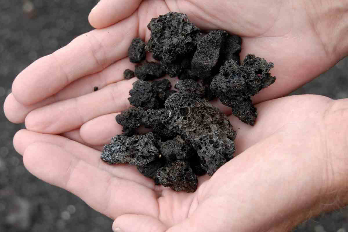 Pumice vs Lava Rock for Plants: Which is Better? - Gardenia Organic