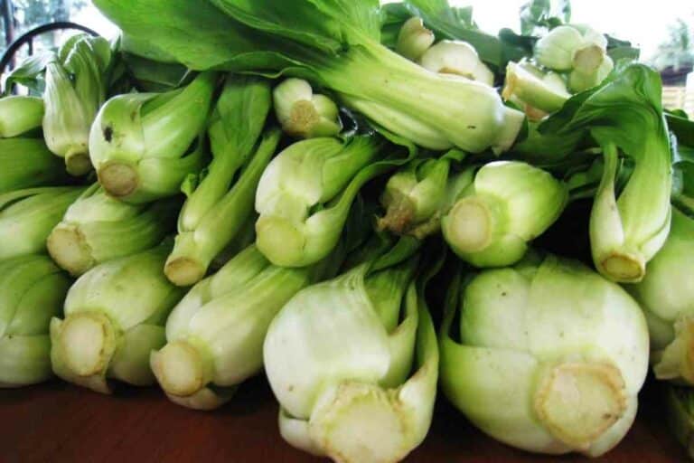 How to Grow Organic Pechay - Gardenia Organic