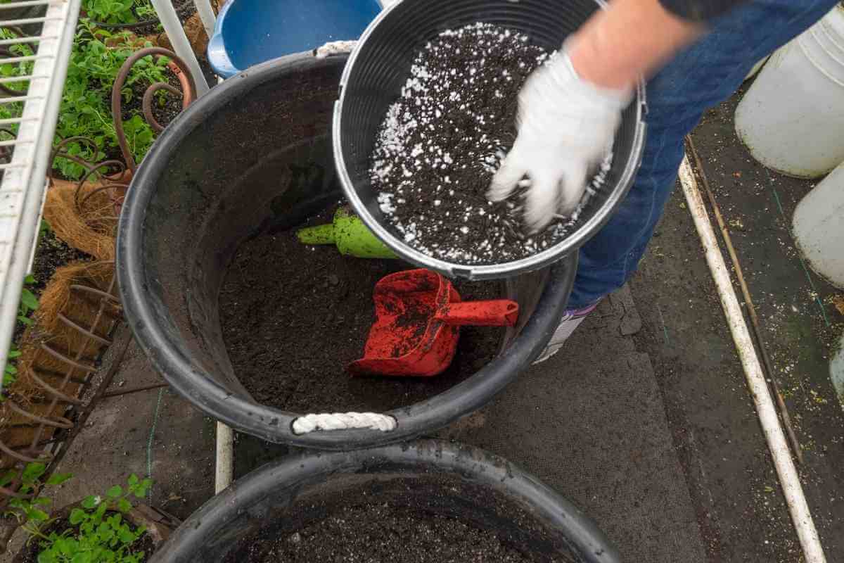 Complete Guide To Garden Soil Mixers (DIY And Store Bought) - Gardenia ...