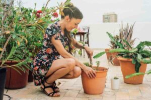 How to Fix Drooping Plants (Bring Your Plant Back to Life) - Gardenia ...