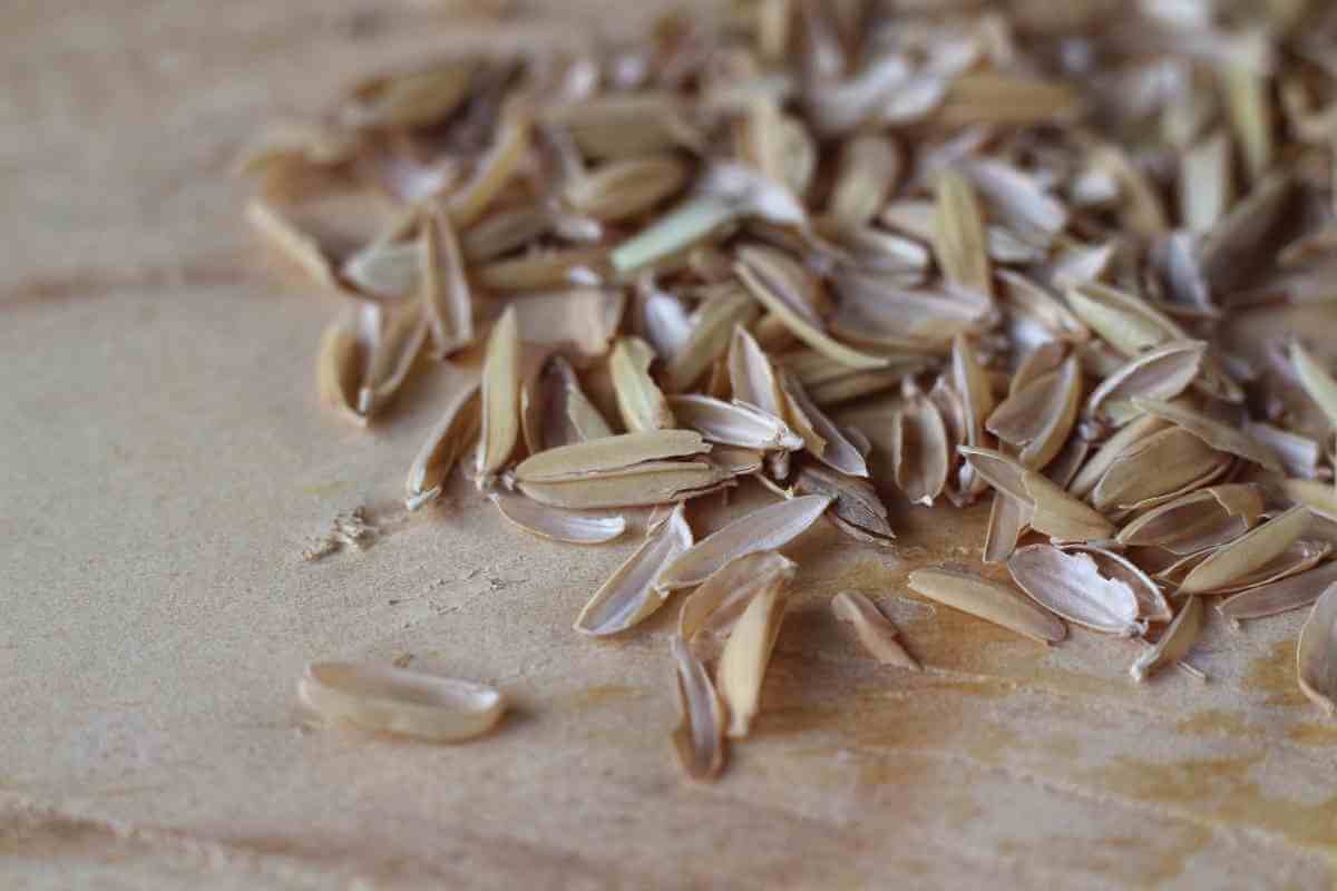 Are Rice Hulls Good For Potting Soil? - Gardenia Organic