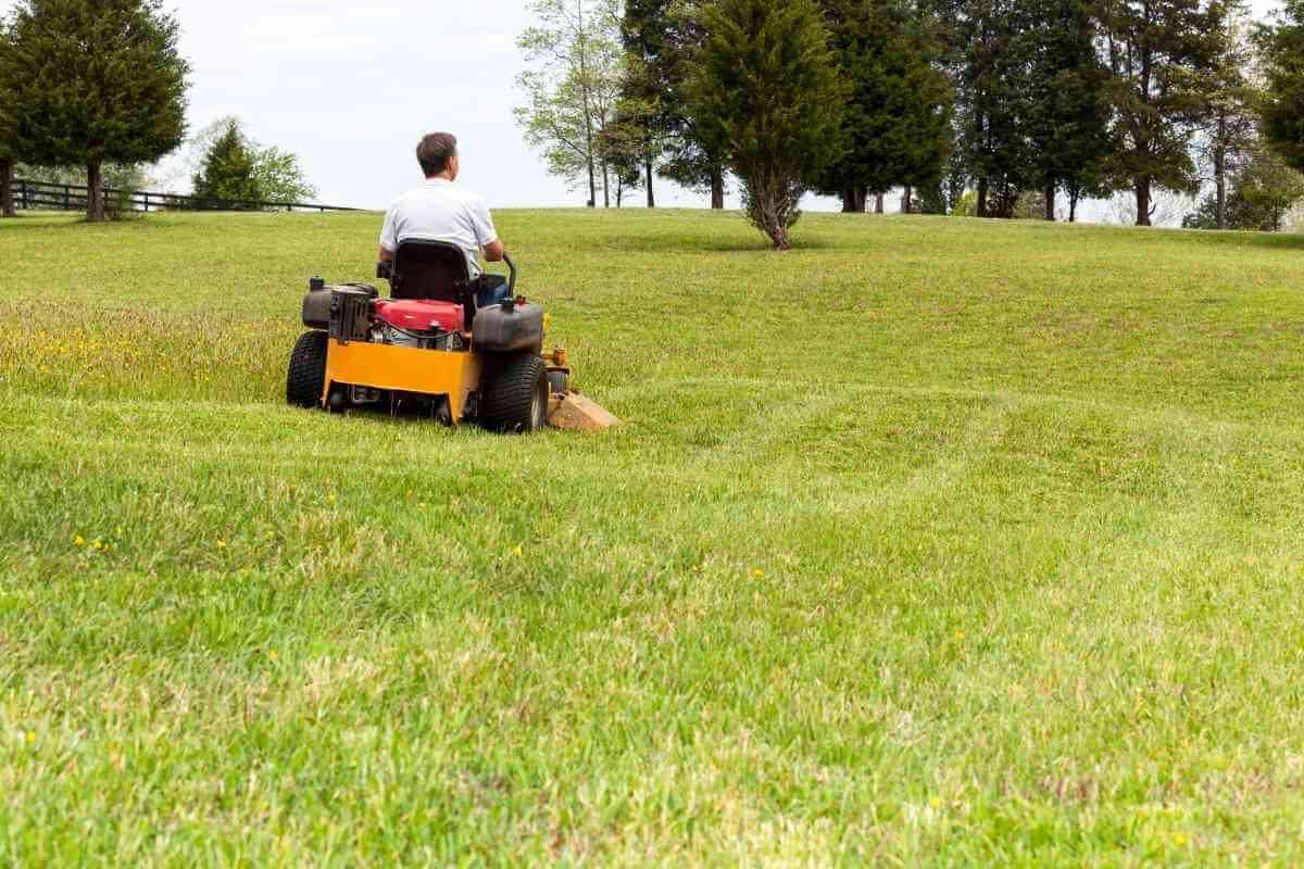 Are Zero Turn Mowers Good on Rough Terrain? - Gardenia Organic