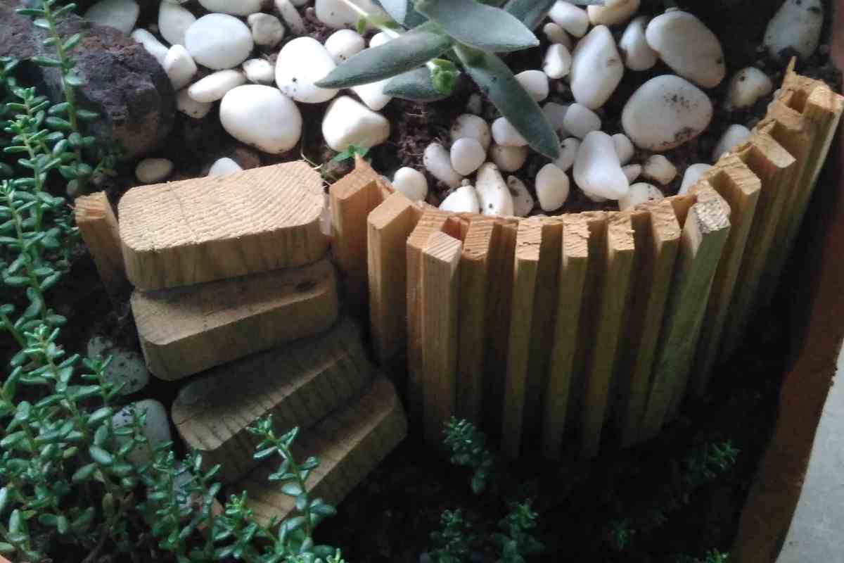 How to Make a Zen Garden Terrarium - Gardenia Organic