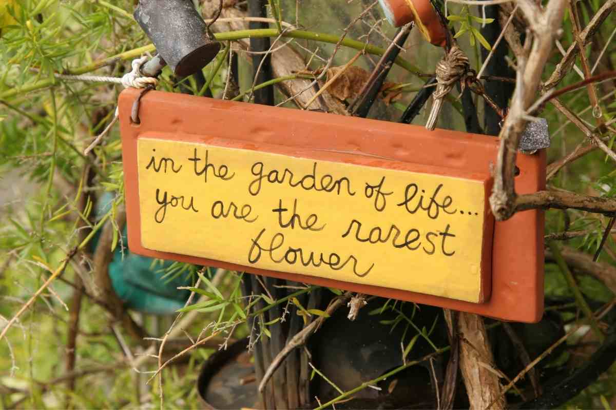 11 Crazy and Funny Garden Sign Ideas - Gardenia Organic