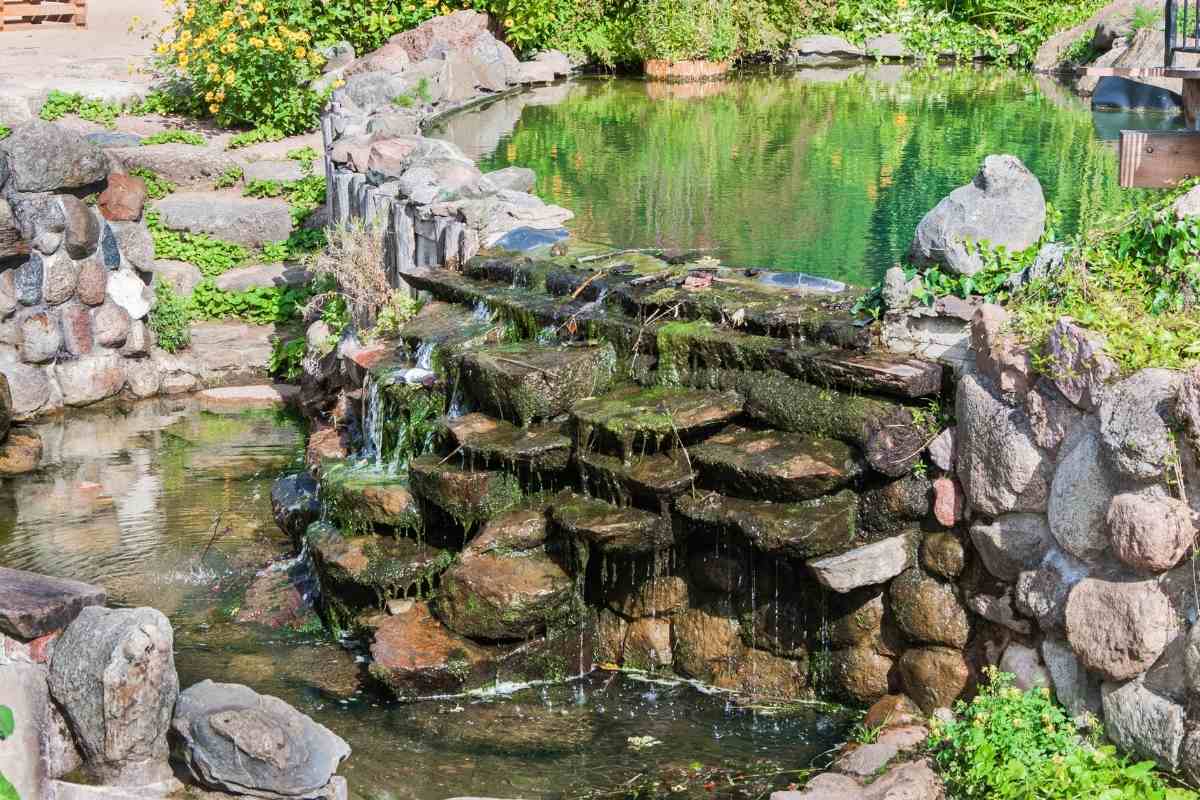 Can You Build A Pond On A Slope? - Gardenia Organic