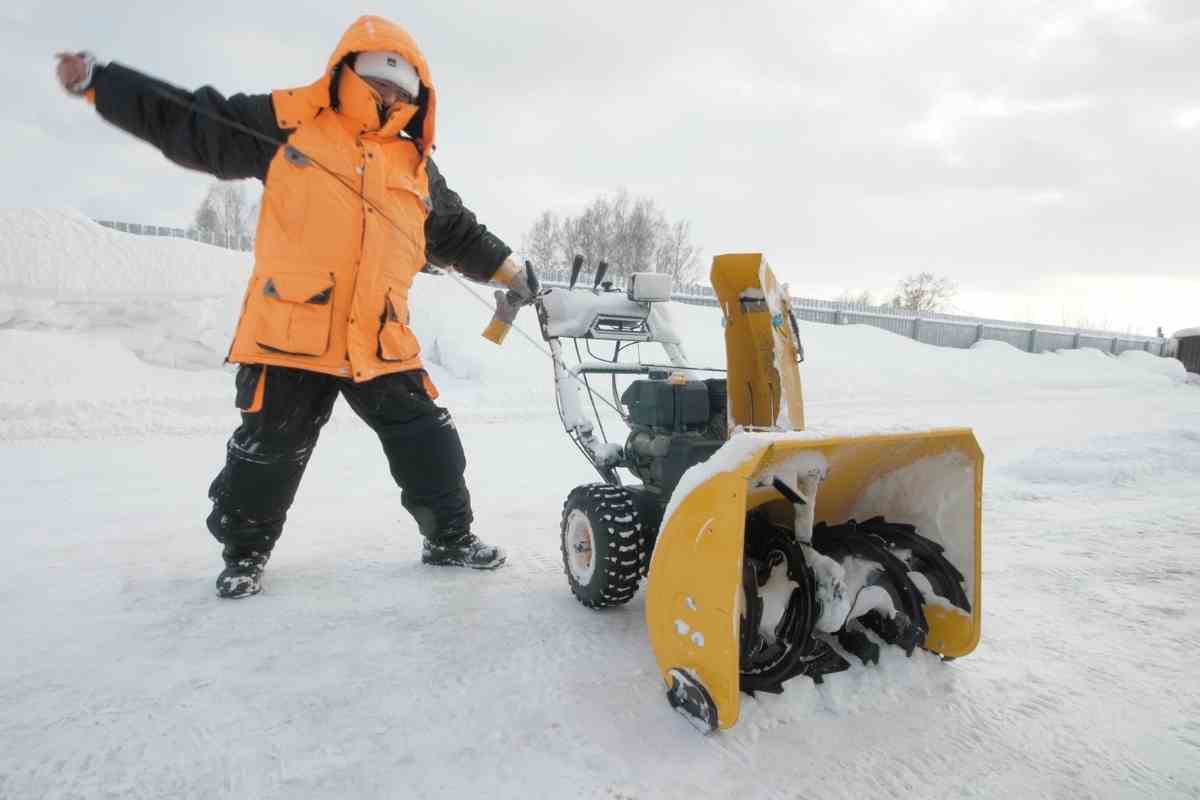7 Best Snow Clearers and Snow Throwers - Gardenia Organic
