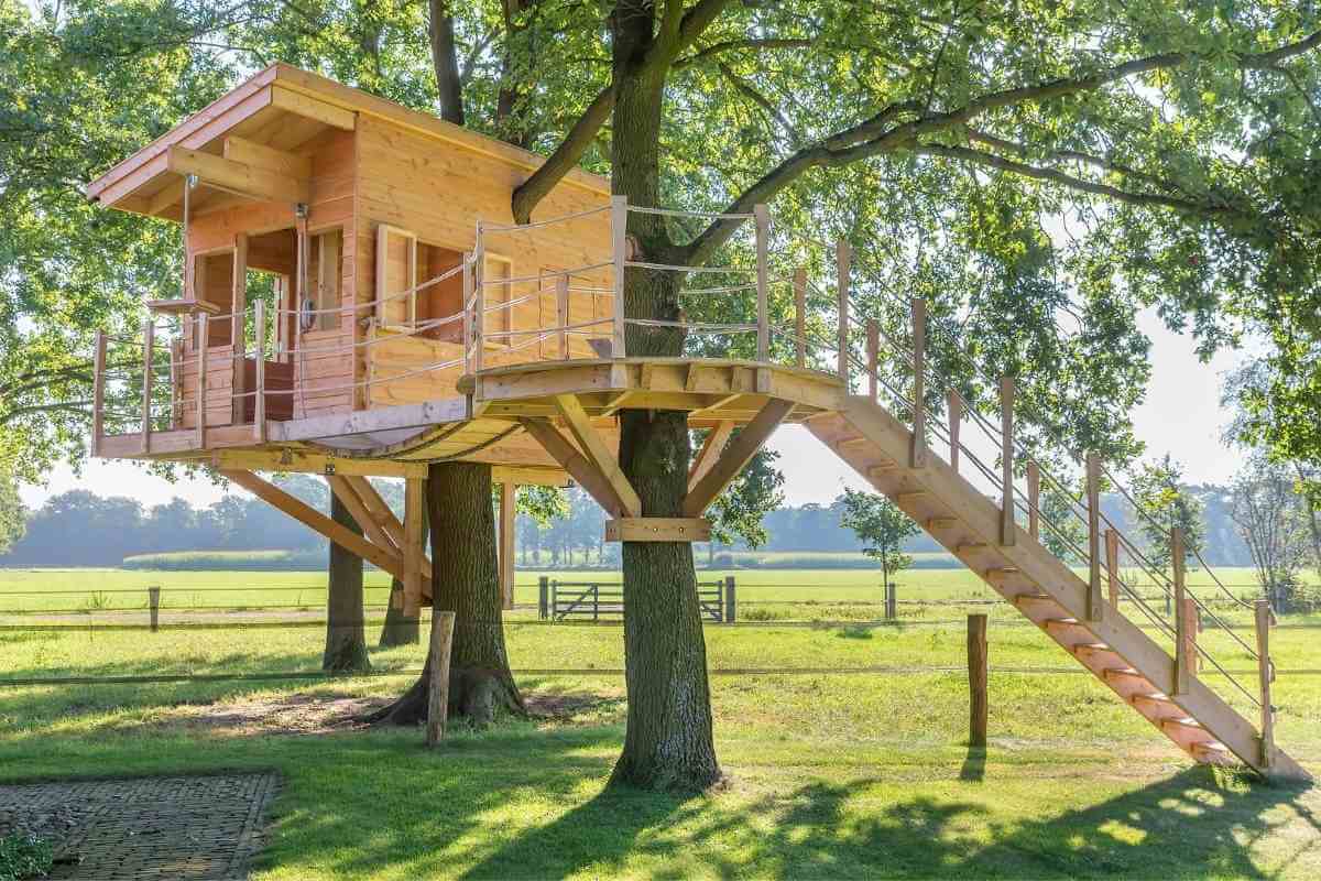 Treehouse Ideas and Designs You Can Build in Your Backyard - Gardenia ...