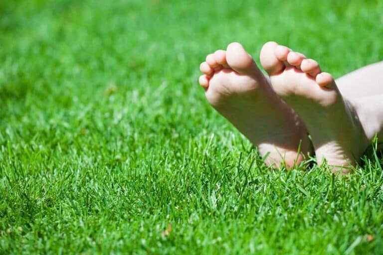 Natural Backyard Playgrounds (Complete Guide, Equipment and Ideas ...