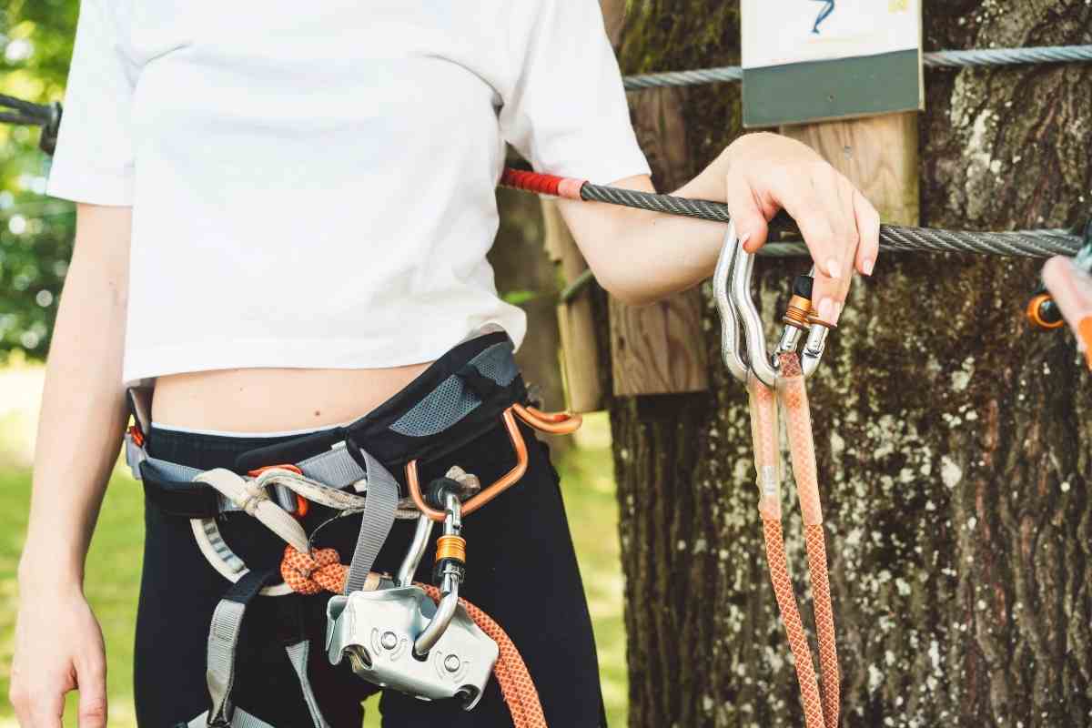 4 Best Garden Zip Lines for Children and Backyards - Gardenia Organic