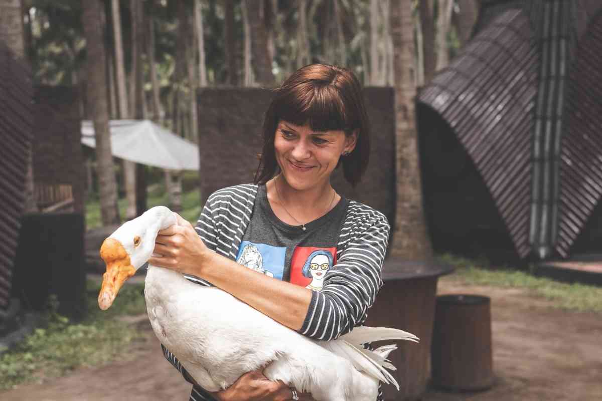 Do Geese Eat Bugs? - Gardenia Organic