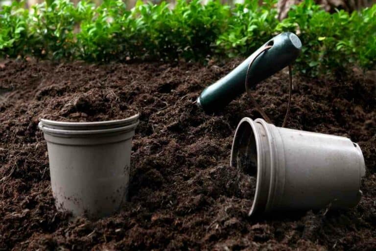 How Much Compost to Mix with Soil – Gardenia Organic