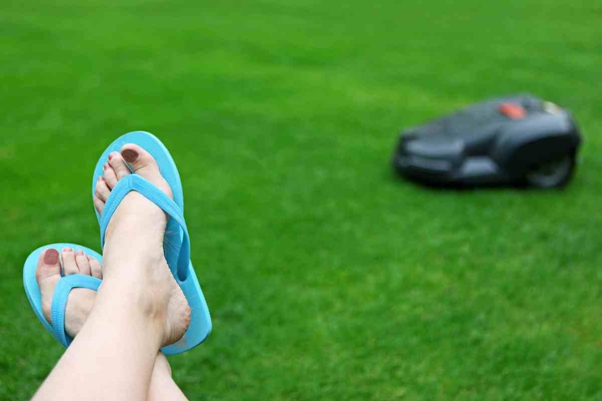 Which Robotic Mower Trims the Closest to the Edge? - Gardenia Organic