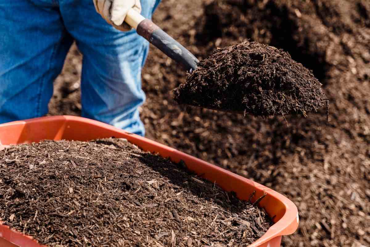 How to Sterilize Soil (Quick and Organically Friendly) - Gardenia Organic