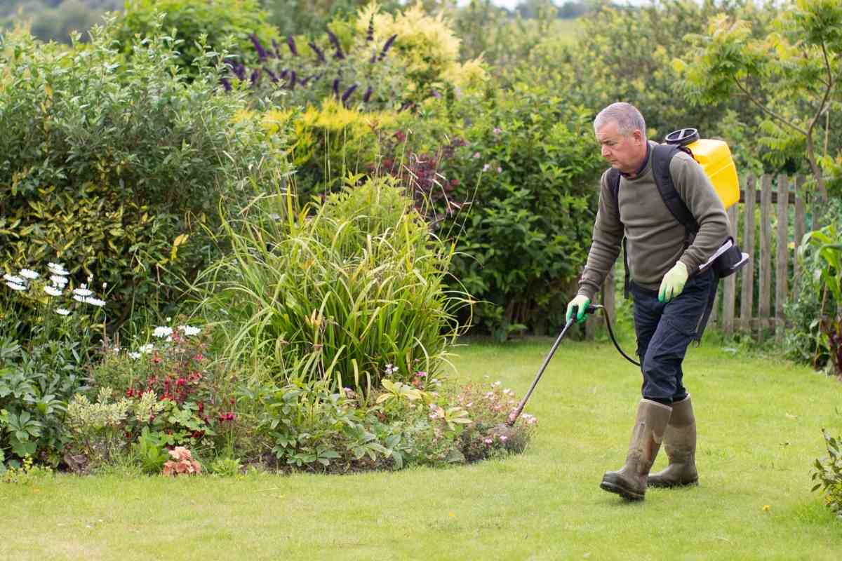 Will Roundup Kill Trees If It Gets Too Close To Them? - Gardenia Organic