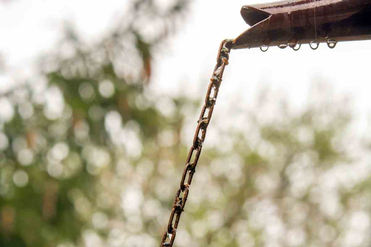 Garden Rain Chains - Your Complete Guide - Gardenia Organic