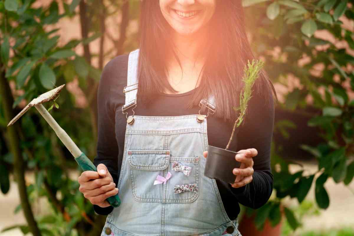 20 Gardening Tools Every Gardener Must Have - Gardenia Organic