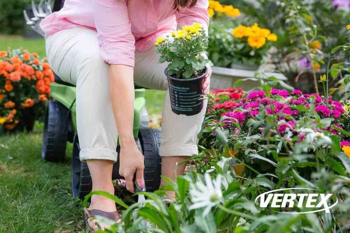 7 Amazing Garden Scooters: Top Picks & Things to Consider - Gardenia ...