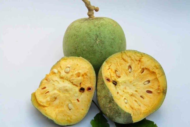 Growers Guide For Bilva Tree - Gardenia Organic