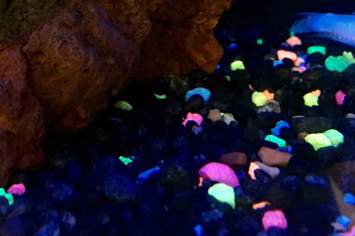 Glow In The Dark Garden Pebbles Buyers Guide - Gardenia Organic