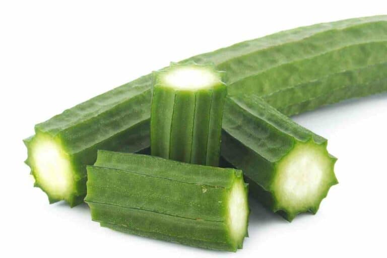 Growers Guide for Patola - Gardenia Organic