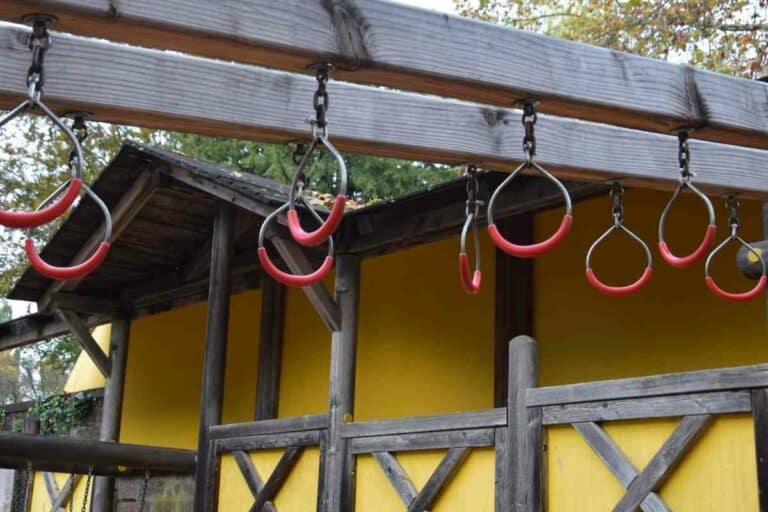 How to Make DIY Jungle Gym In Your Backyard - Gardenia Organic