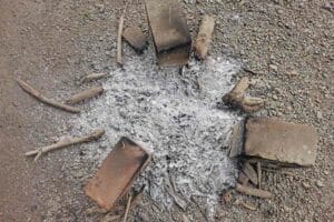 Is Charcoal Ash Good for Plants (How to Use Correctly) - Gardenia Organic