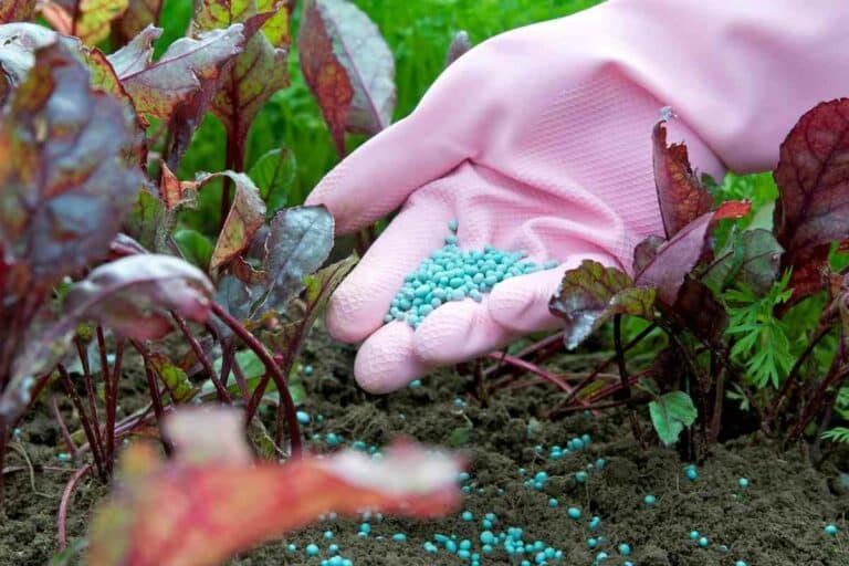 Winter Fertilizer Numbers Explained - Gardenia Organic